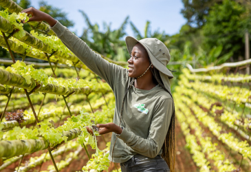 Digicel | Digicel Foundation | Jamaica